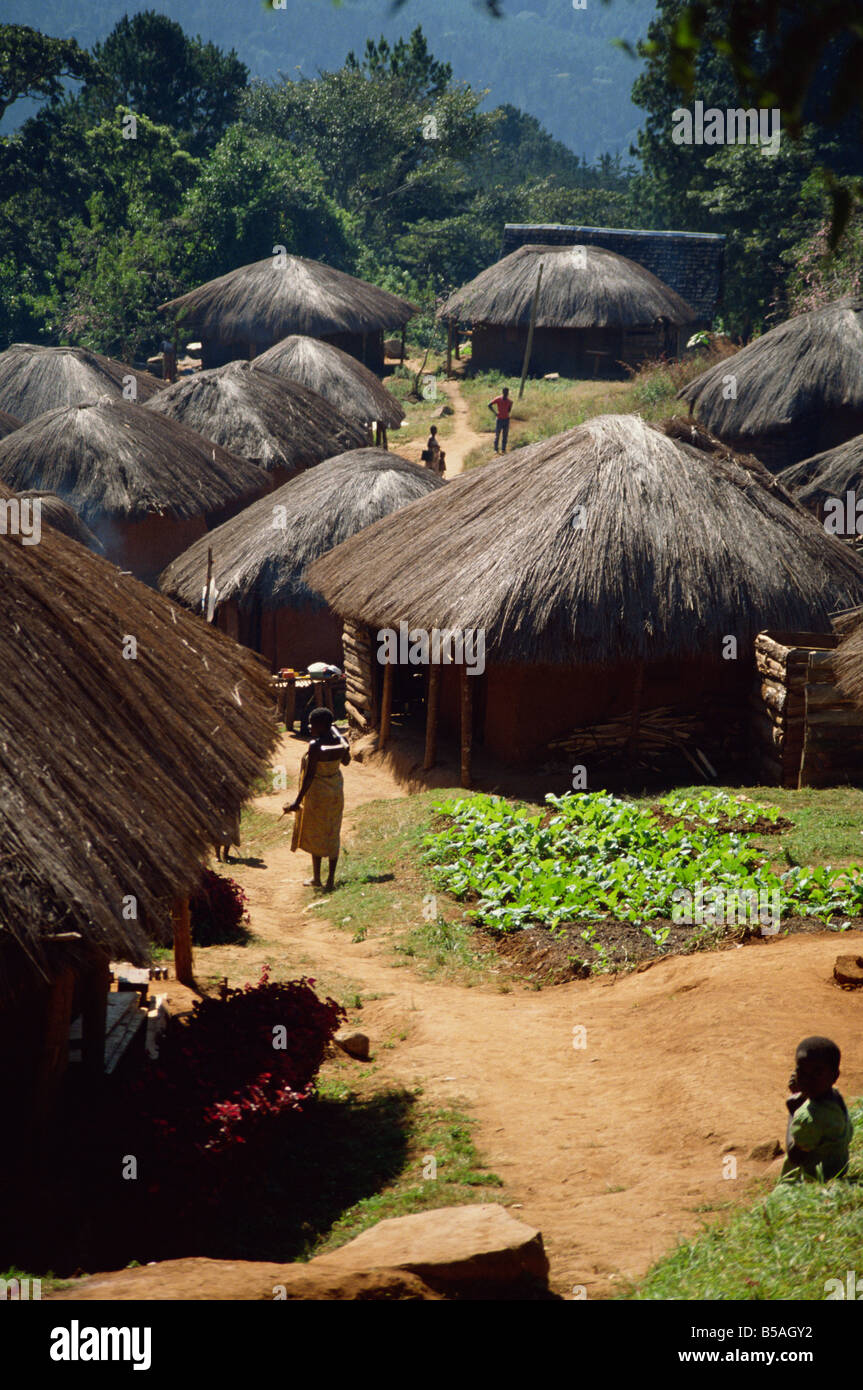 Village scene Zomba Plateau Malawi Africa D C Poole Stock Photo - Alamy