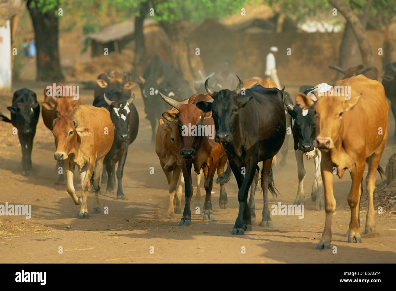 Salima malawi hi-res stock photography and images - Alamy