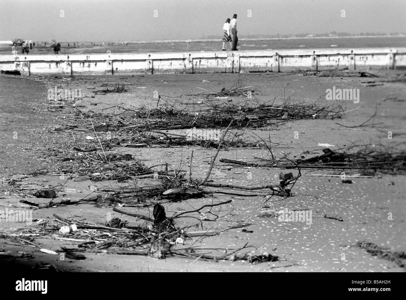 General scenes in Venice. The pollution of the beaches. This is typical ...