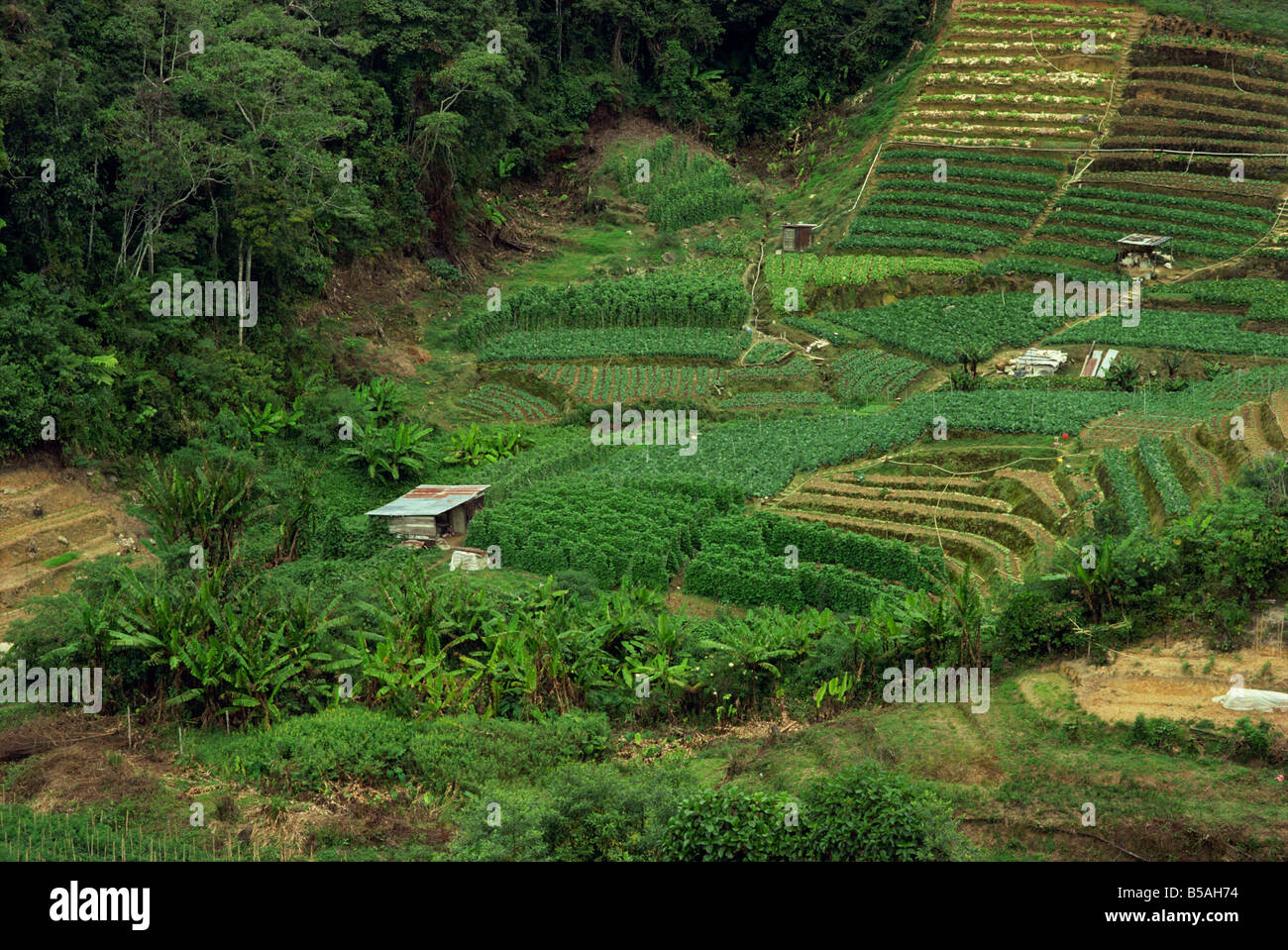 Malaysia provinces hi-res stock photography and images - Alamy