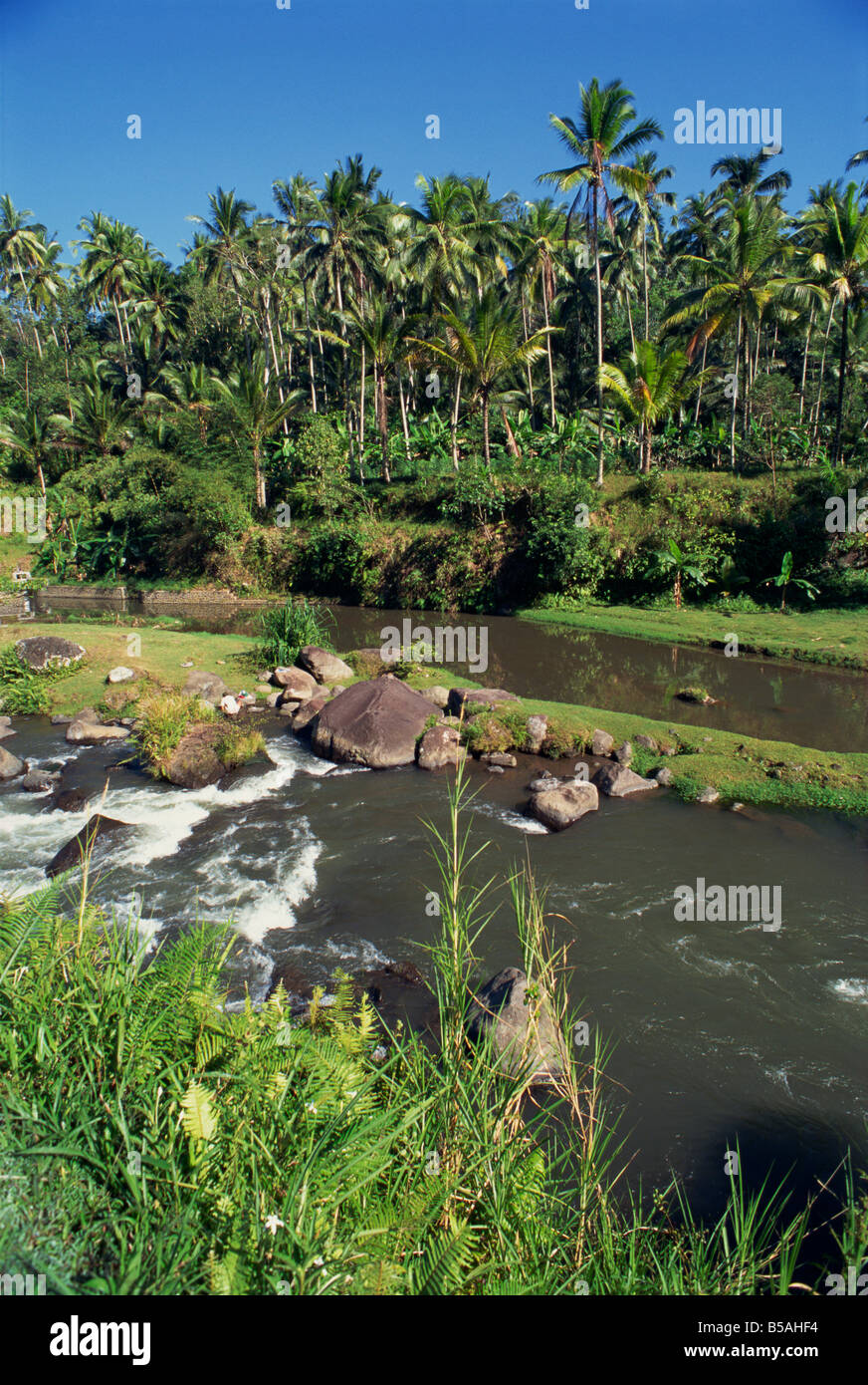 River passing through valley at Kupa Kupa Barong near Ubud Bali ...