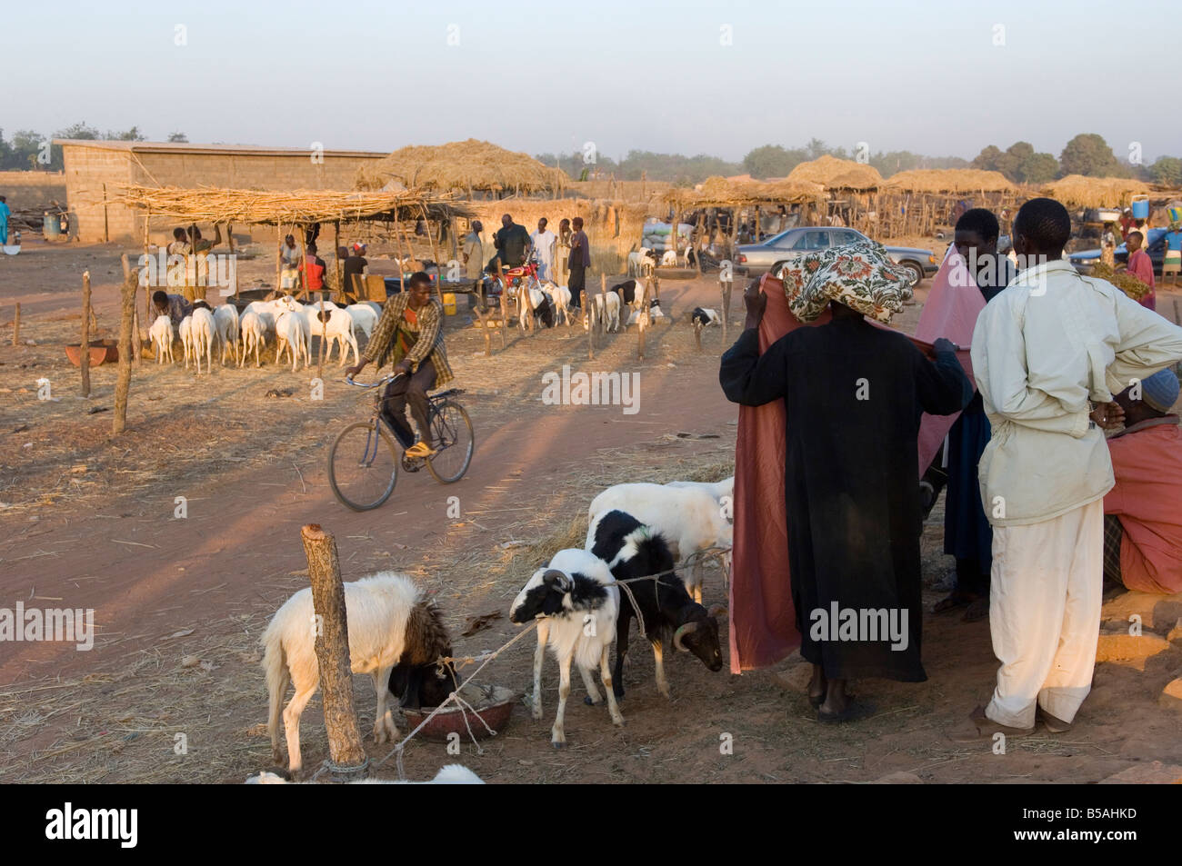 Mali People Stock Photos & Mali People Stock Images - Alamy