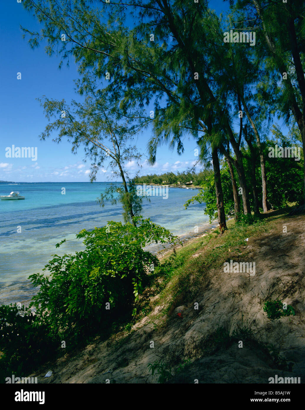 North mauritius vertical image hi-res stock photography and images - Alamy