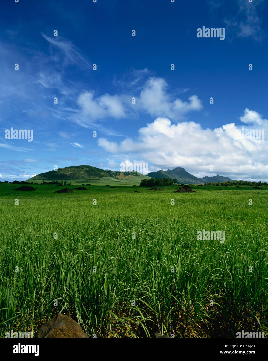 Mauritius landscapes hi-res stock photography and images - Alamy