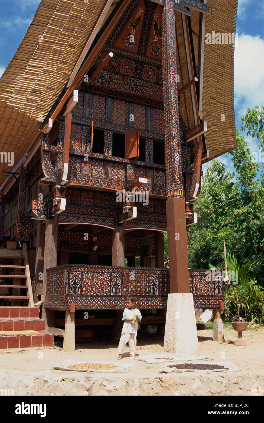 Traditional Toraja house Sulawesi Indonesia Asia RH Productions Stock ...
