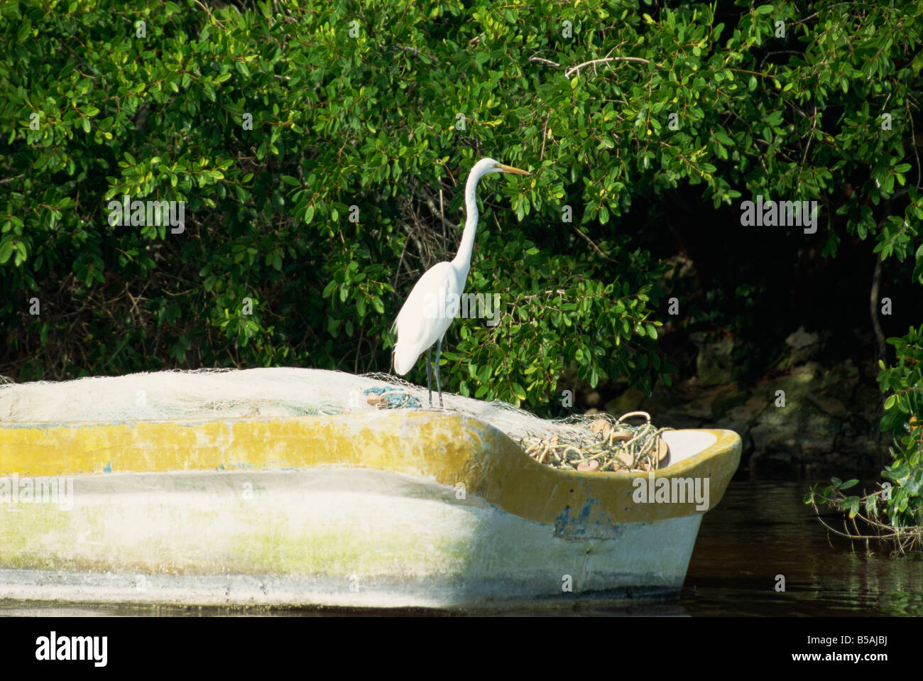 Yucatan Mexico North America Stock Photo - Alamy