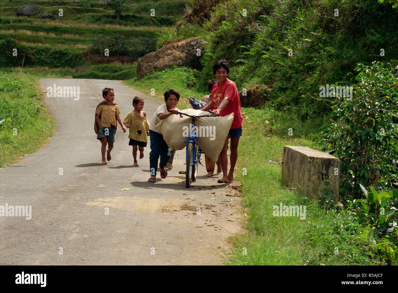 Children carrying load on bicycle Toraja area Sulawesi Indonesia Asia ...