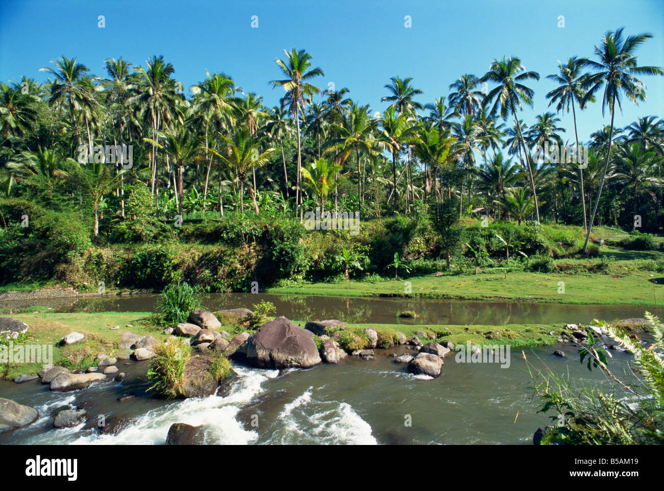 River valley at Kupa Kupa Barong, near Ubud, Bali, Indonesia, Southeast ...