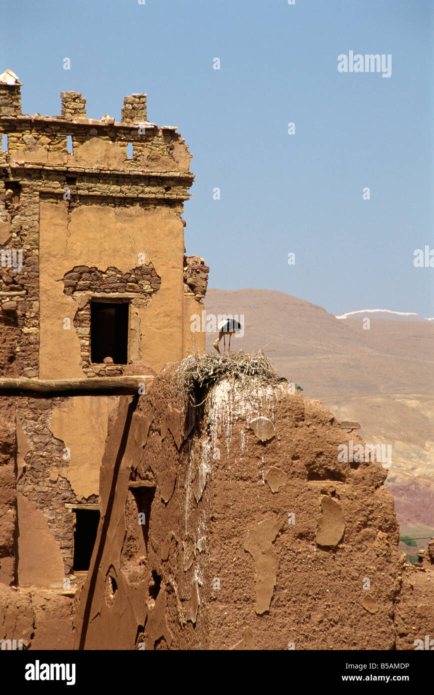 Telouet Kasbah, Morocco, North Africa, Africa Stock Photo - Alamy