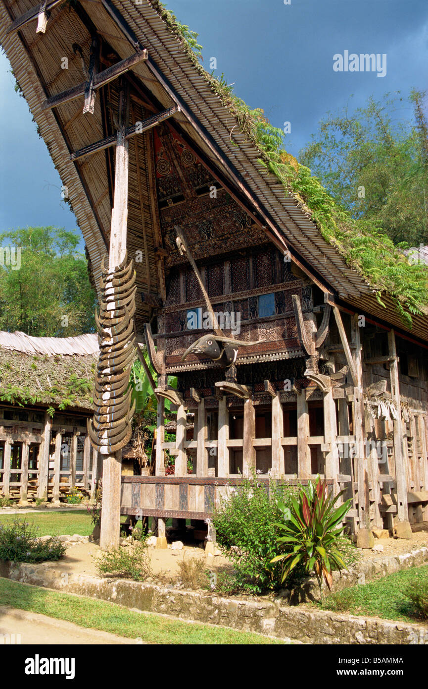 Toraja house, Toraja area, Sulawesi, Indonesia, Southeast Asia Stock ...