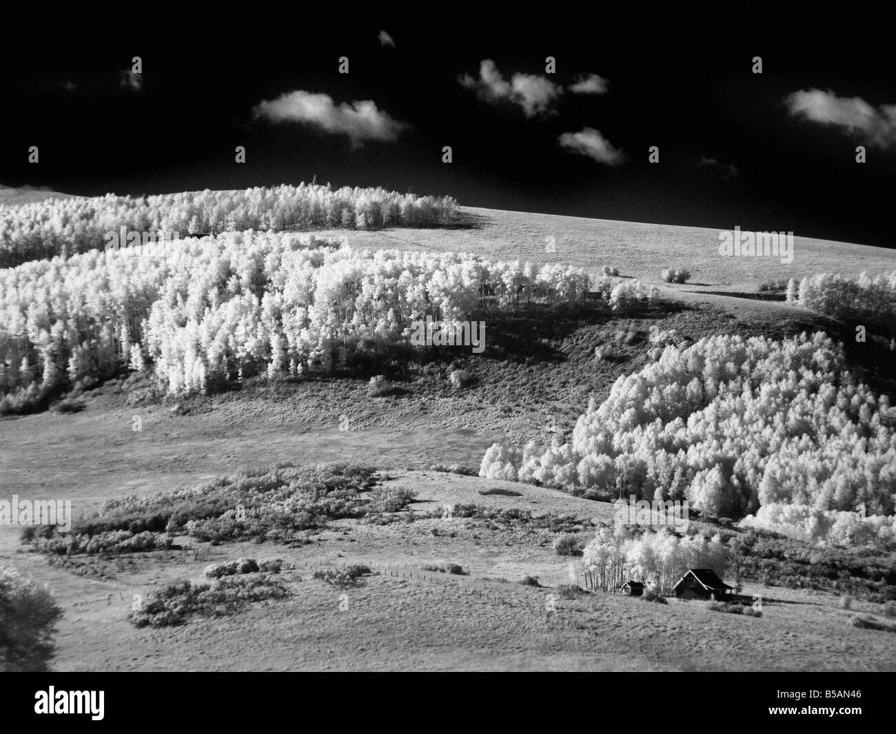 Fall foliage colorado hi-res stock photography and images - Alamy