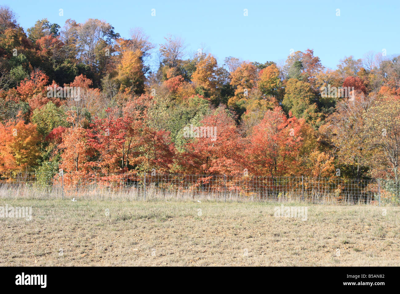 Wv nature hi-res stock photography and images - Alamy