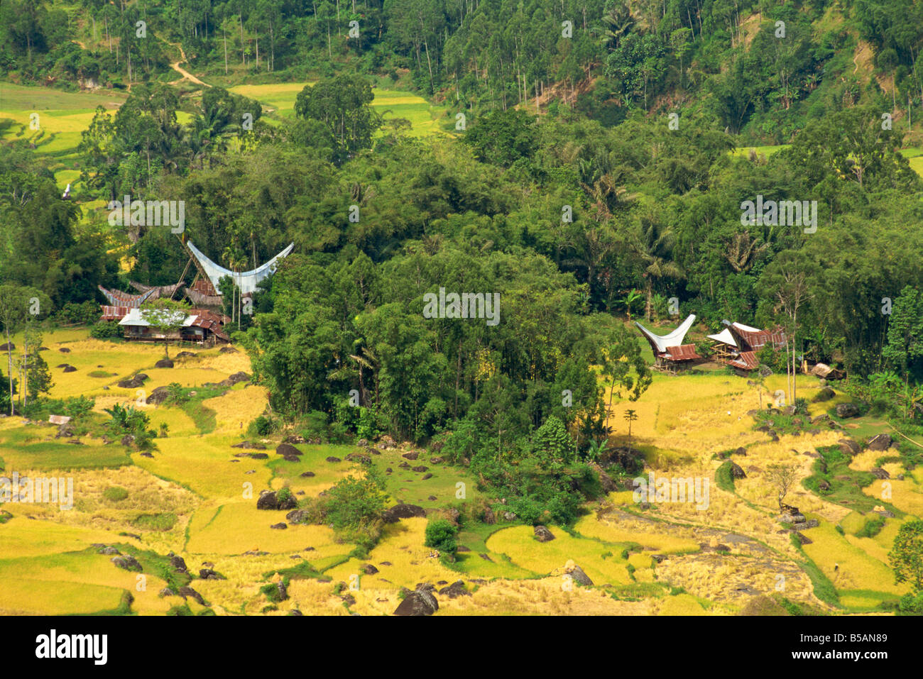 Aerial toraja hi-res stock photography and images - Alamy