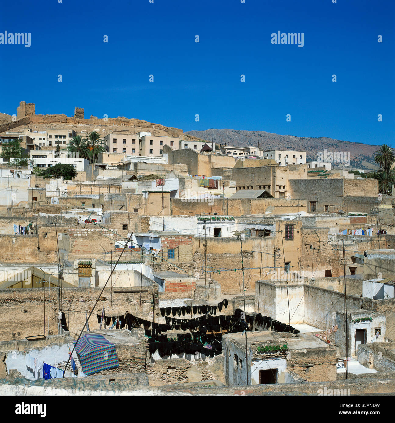 Rooftop view with drying hanks of wool Fez Morocco Africa T Gervis ...