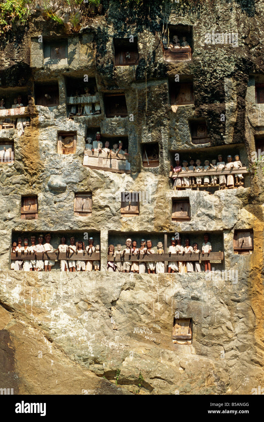 Lemo cliff tombs, Toraja area, Sulawesi, Indonesia, Southeast Asia ...
