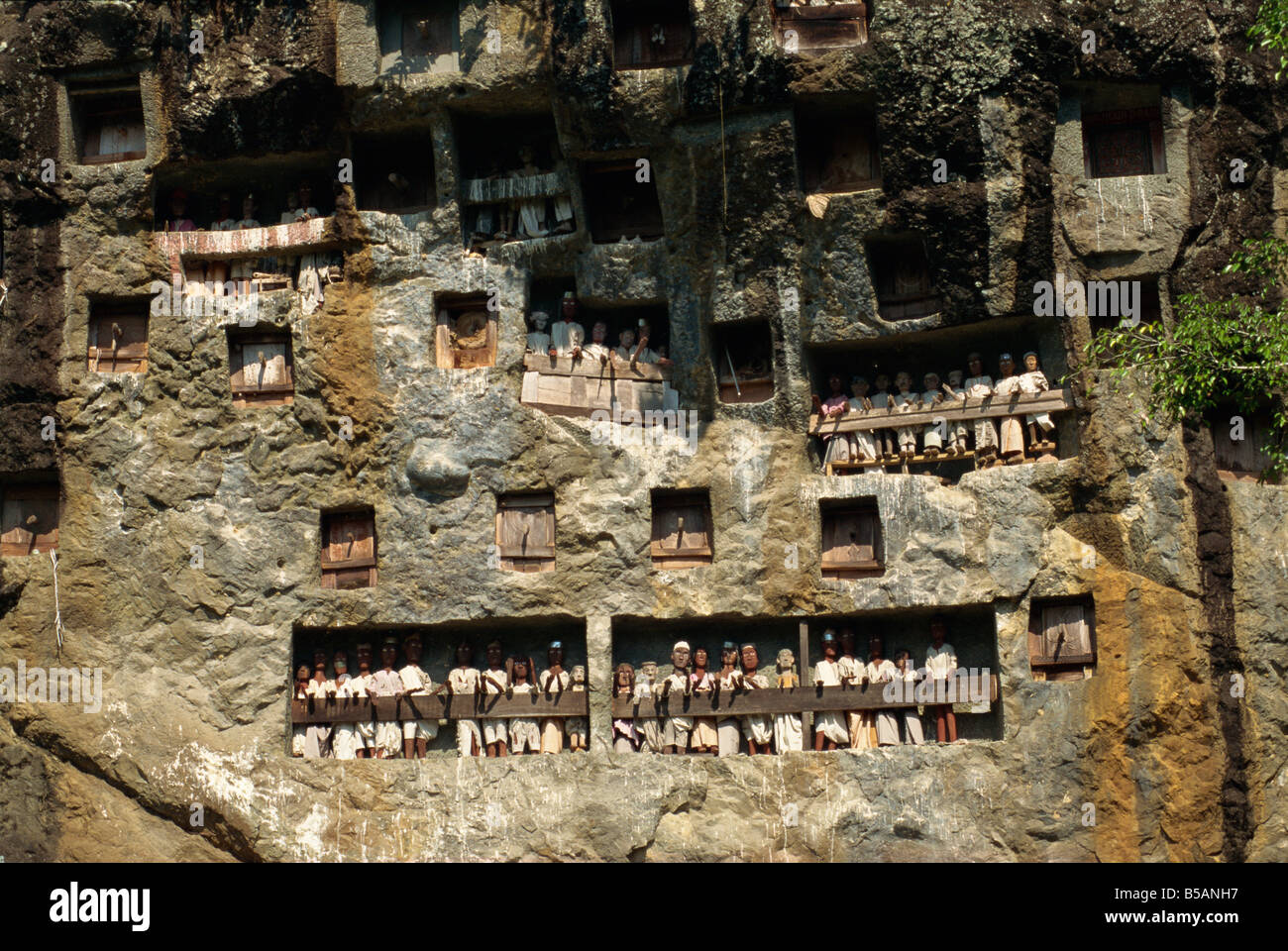 Lemo cliff tombs, Toraja area, Sulawesi, Indonesia, Southeast Asia ...