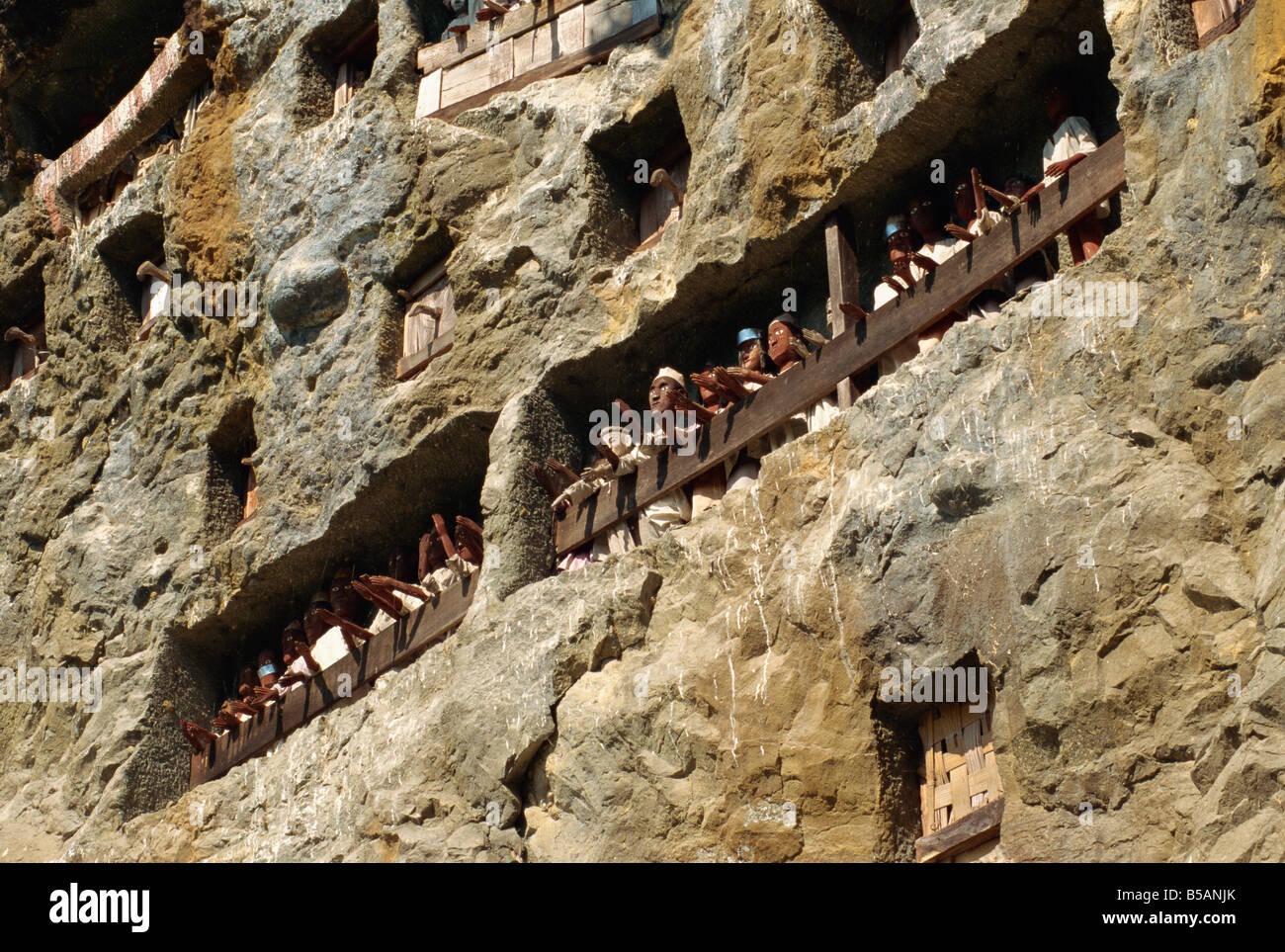 Lemo cliff tombs, Toraja area, Sulawesi, Indonesia, Southeast Asia ...