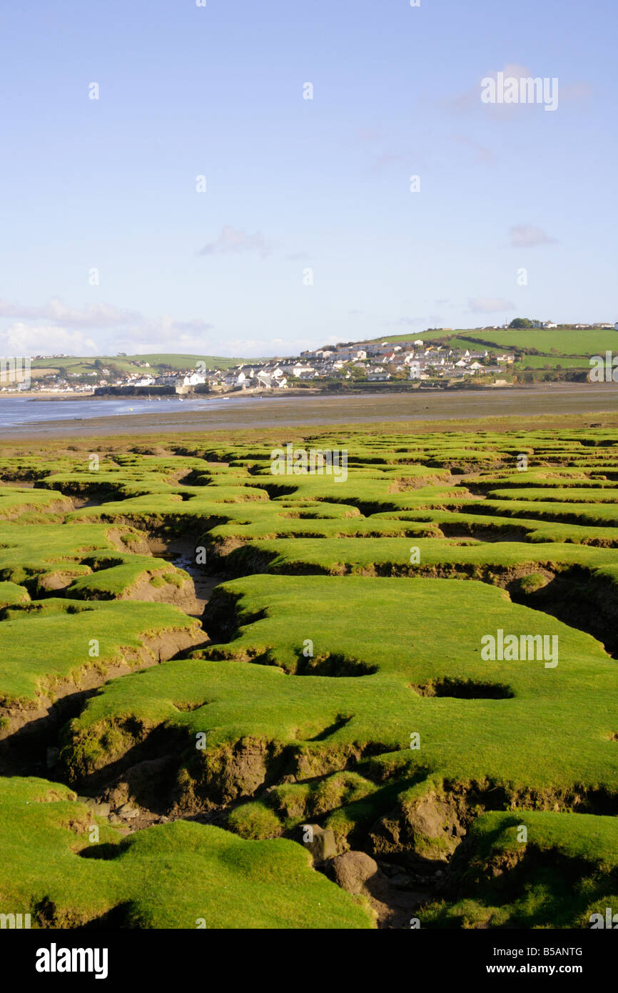 Appledore estuary view hi-res stock photography and images - Alamy