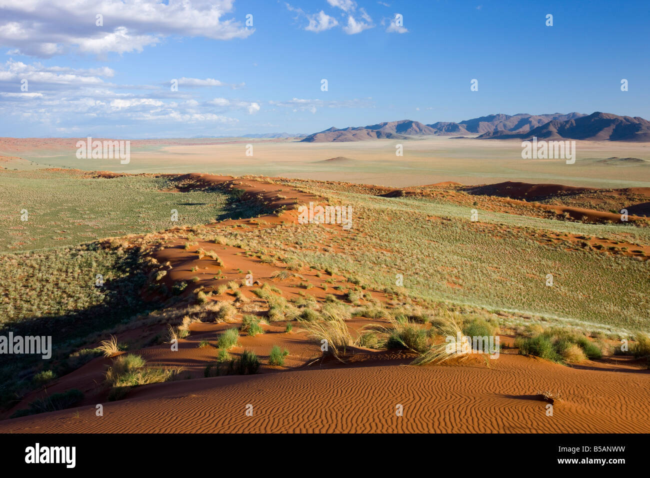 Namib rand nature reserve hi-res stock photography and images - Alamy