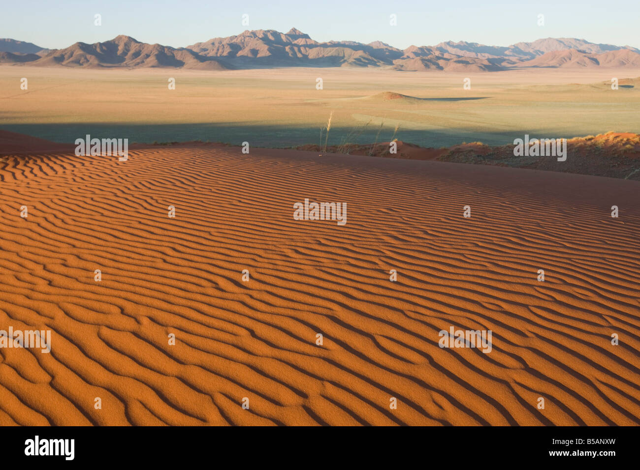 Namib rand nature reserve hi-res stock photography and images - Alamy