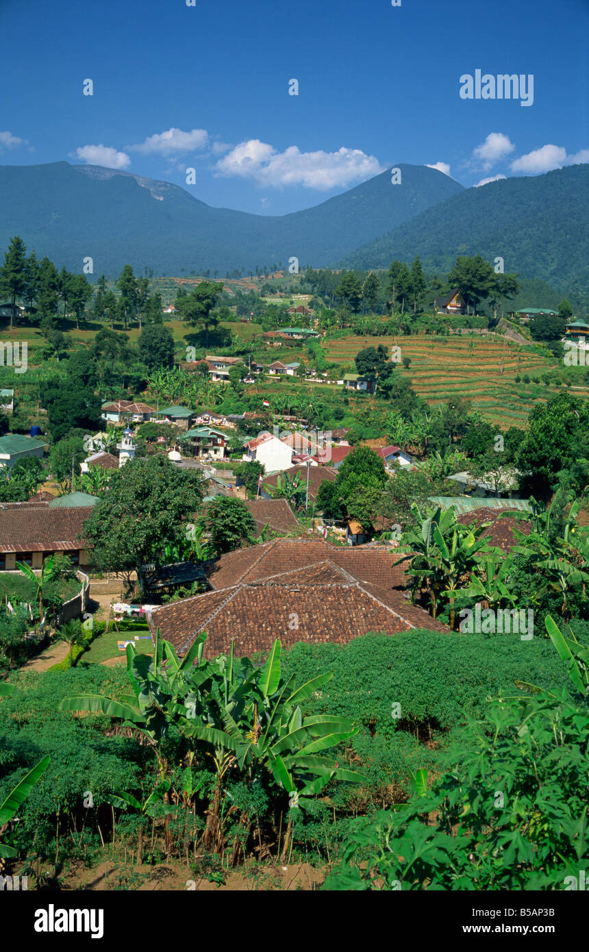 The mountain resort of Puncak on Java Indonesia Asia G Renner Stock ...