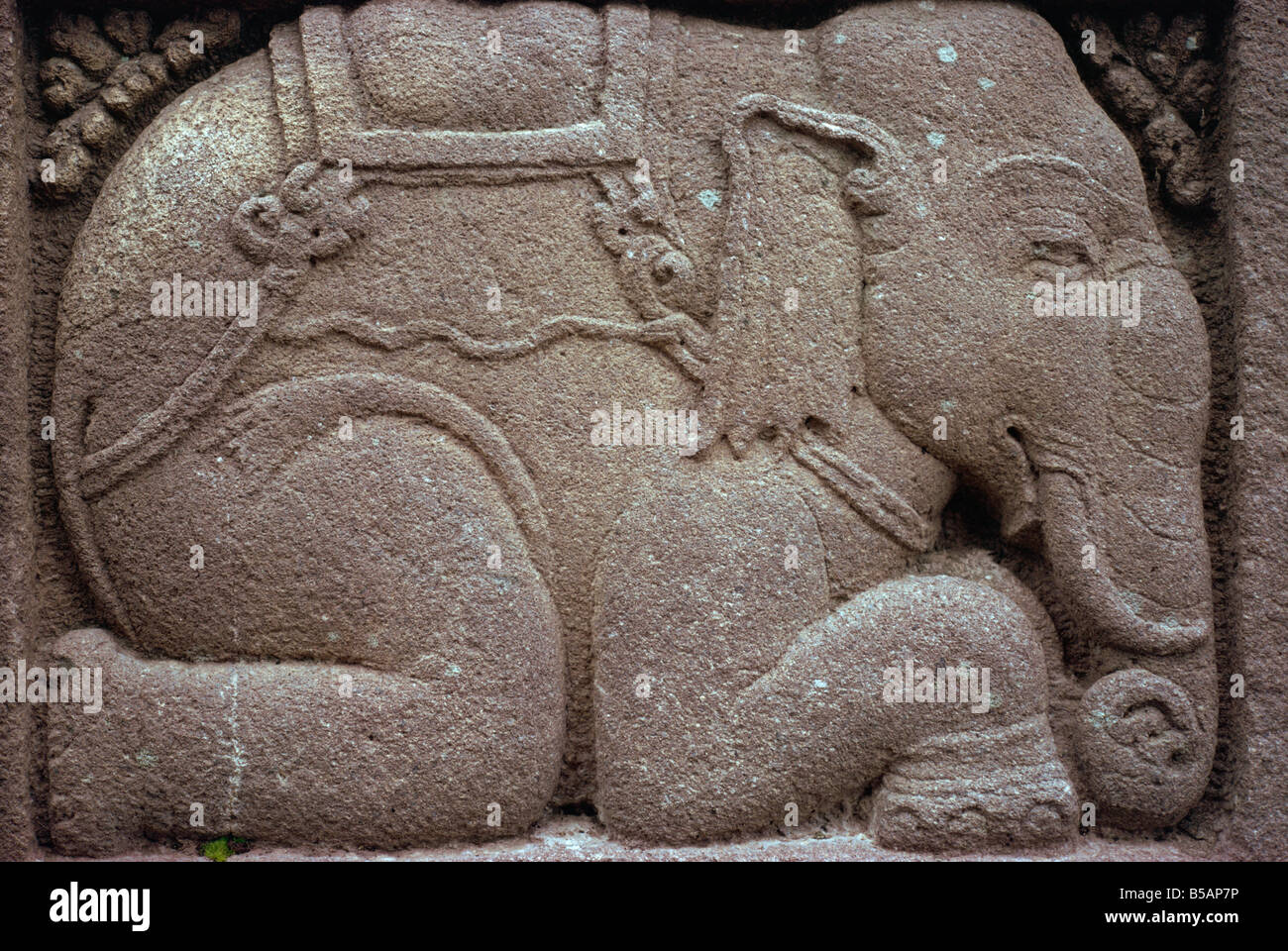 Elephant kneeling hi-res stock photography and images - Alamy