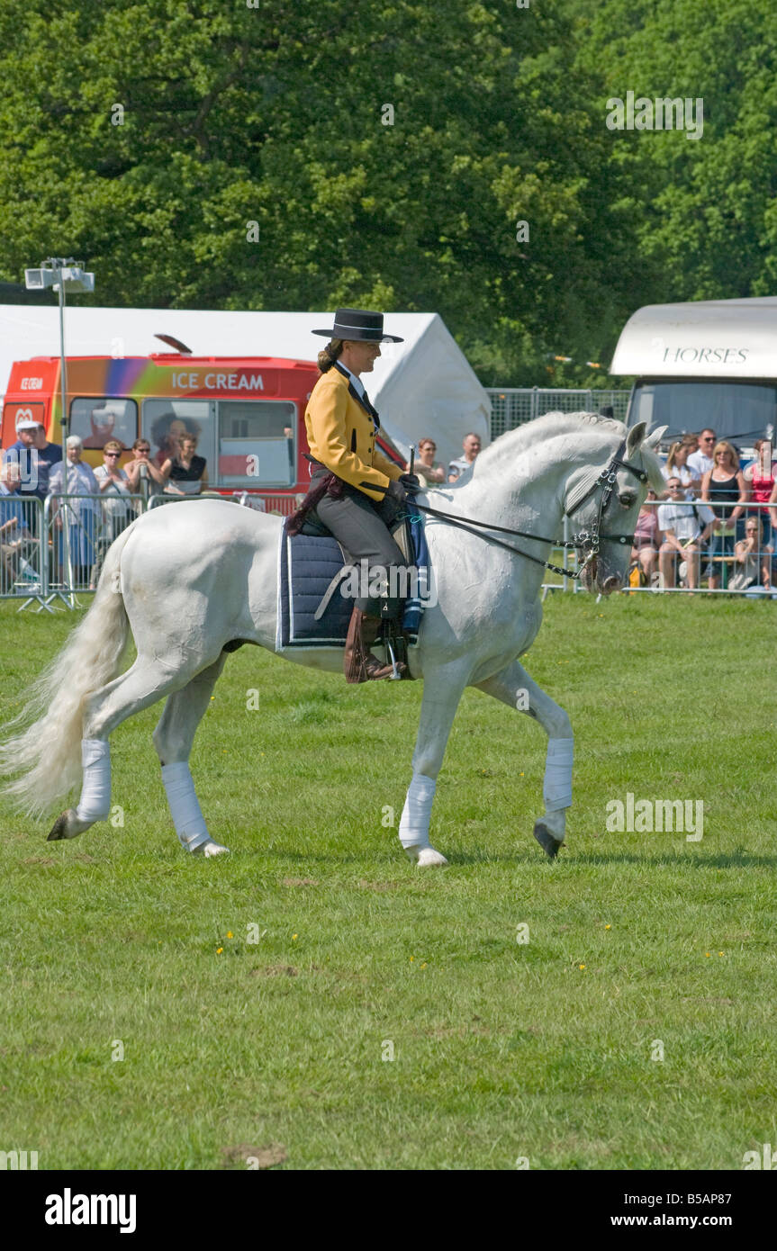 Andalusian Stallion with a Female Rider In Traditional Costume Cowpie ...