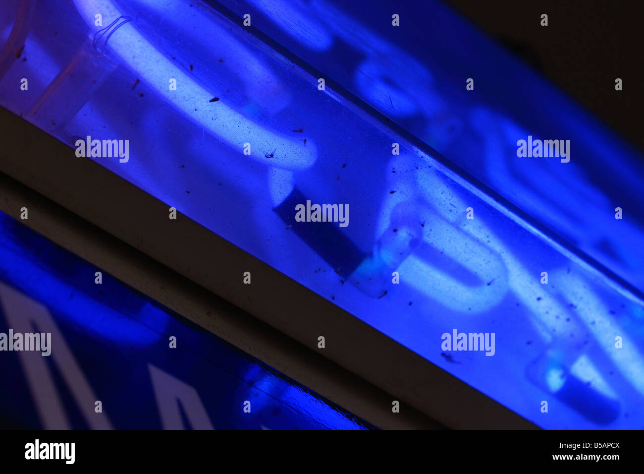 Blue neon light hi-res stock photography and images - Alamy