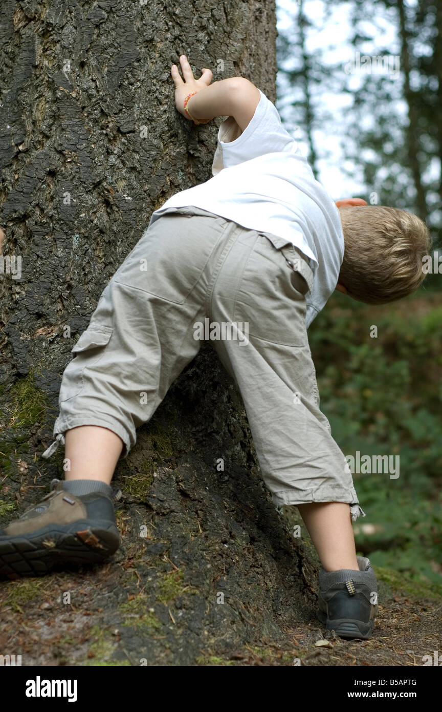 Boy peeking from behind a tree playing hide and seek Stock Photo - Alamy