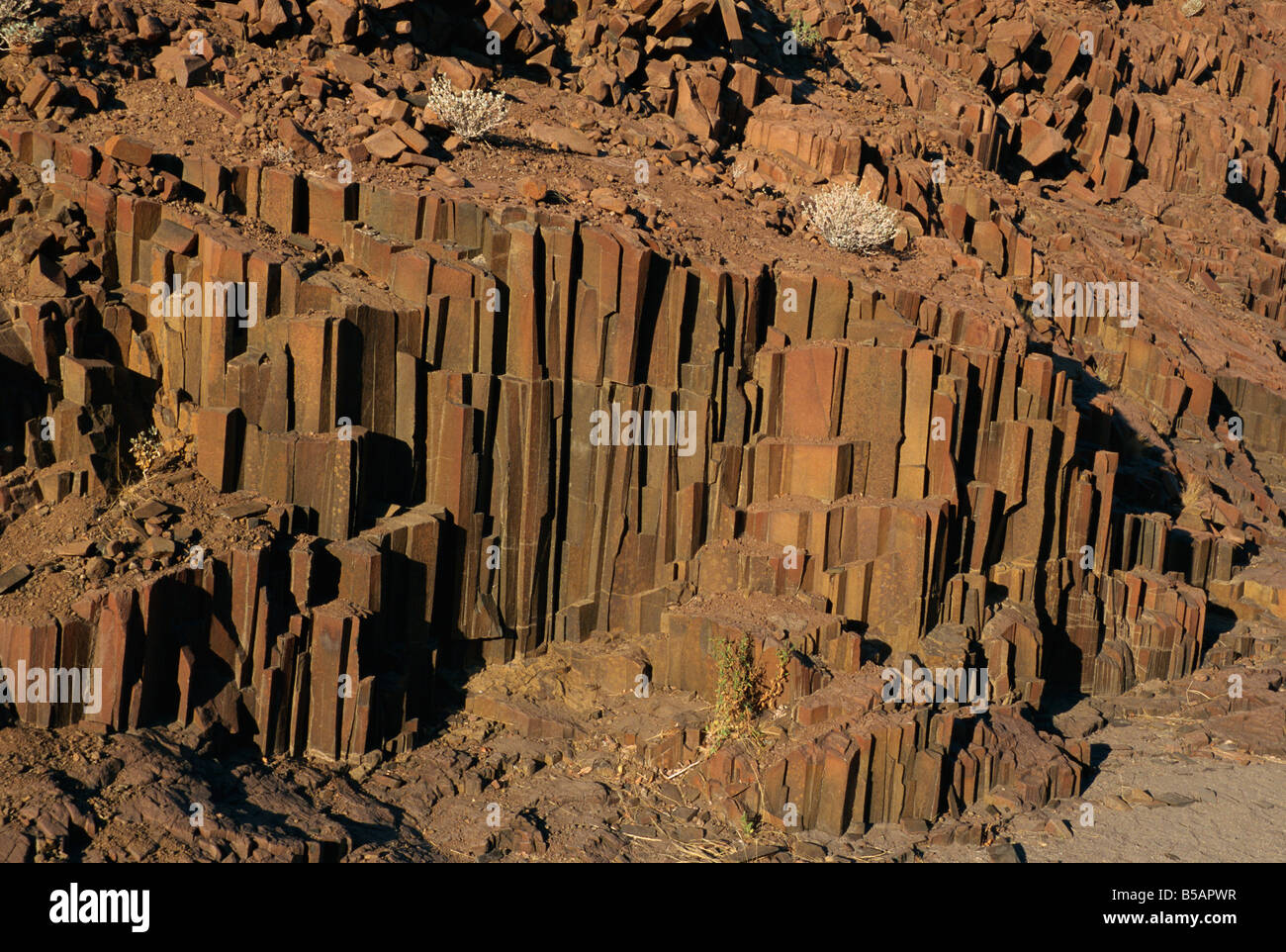 Organ pipes formation dolerite columns Twyfelfontein Namibia Africa D C ...