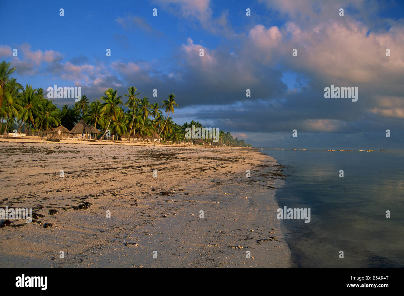 Jambiani beach Zanzibar Tanzania East Africa Africa Stock Photo - Alamy