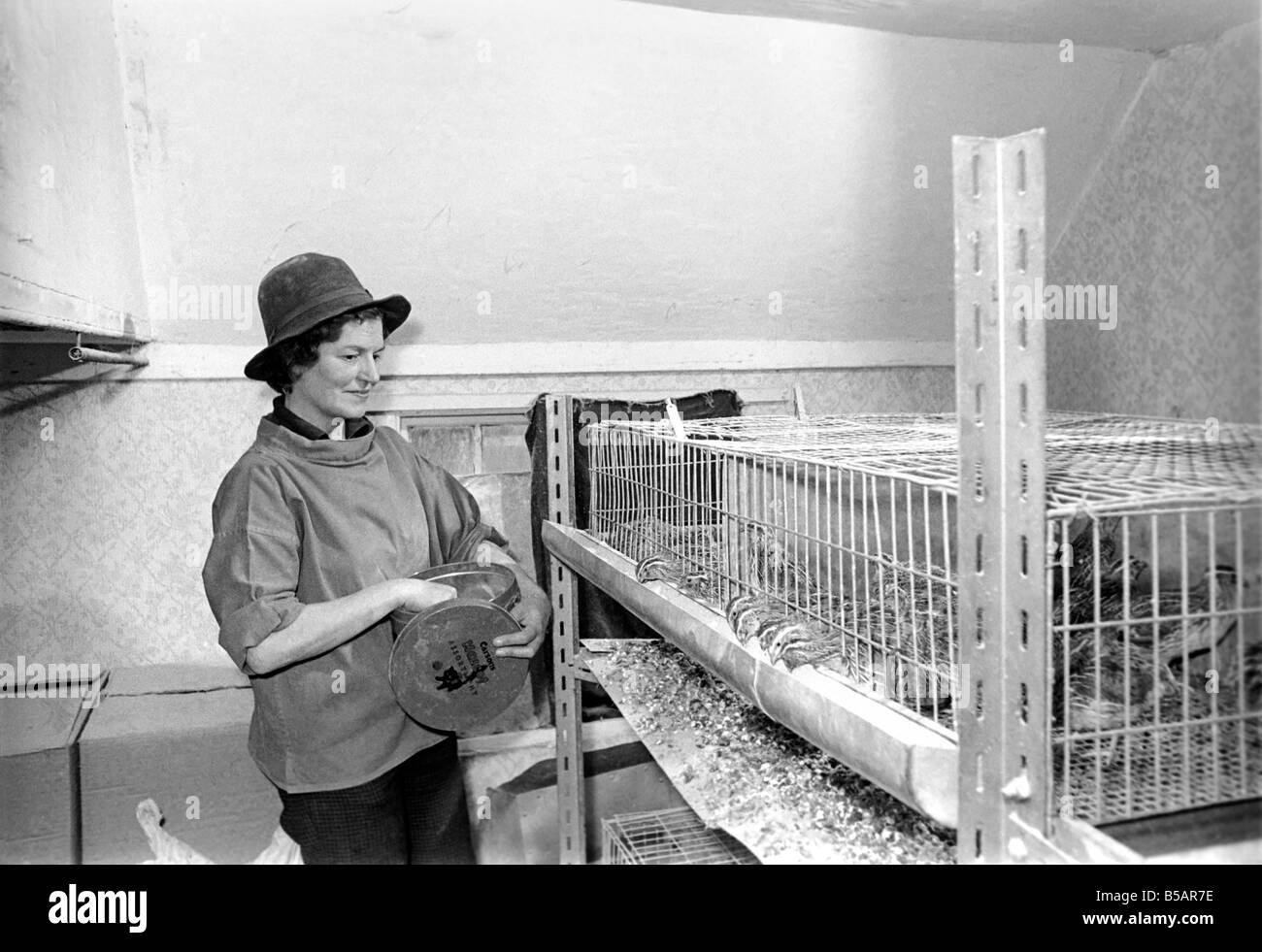 Hempstead farm hi-res stock photography and images - Alamy