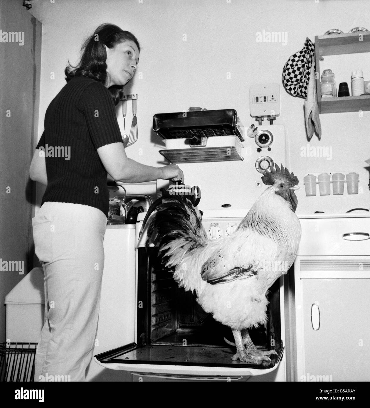 1960s cooker hi-res stock photography and images - Alamy