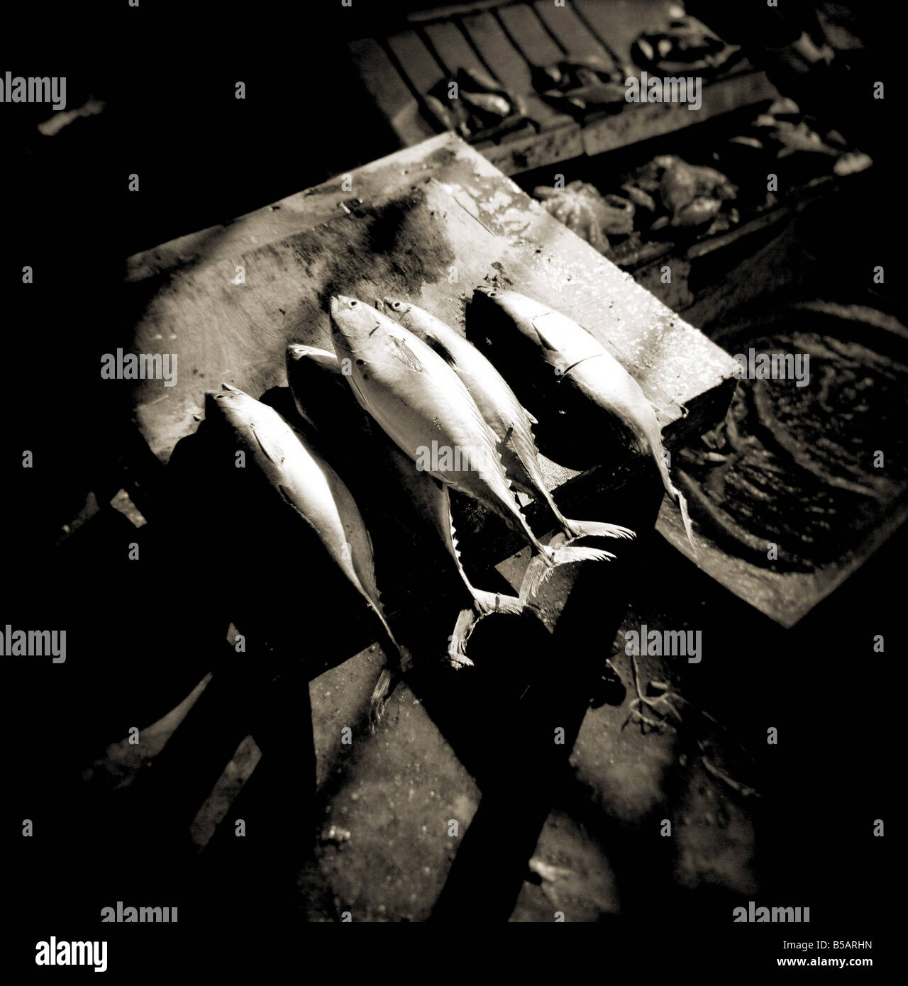 Freshly-caught fish on slab in fish market, Stonetown, Zanzibar ...