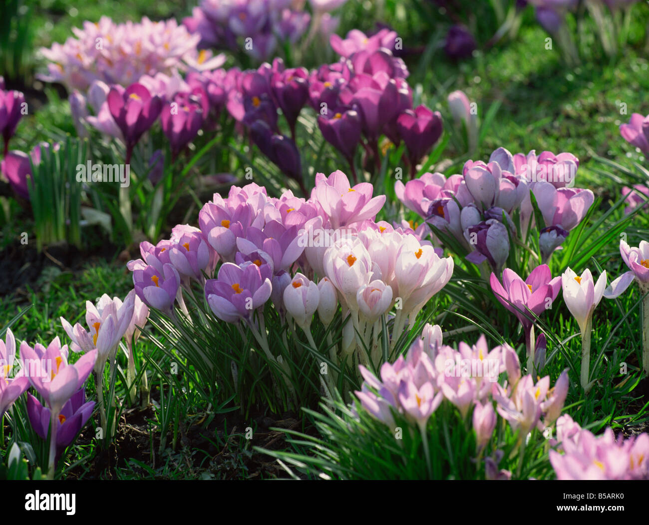 1404 m hi-res stock photography and images - Alamy