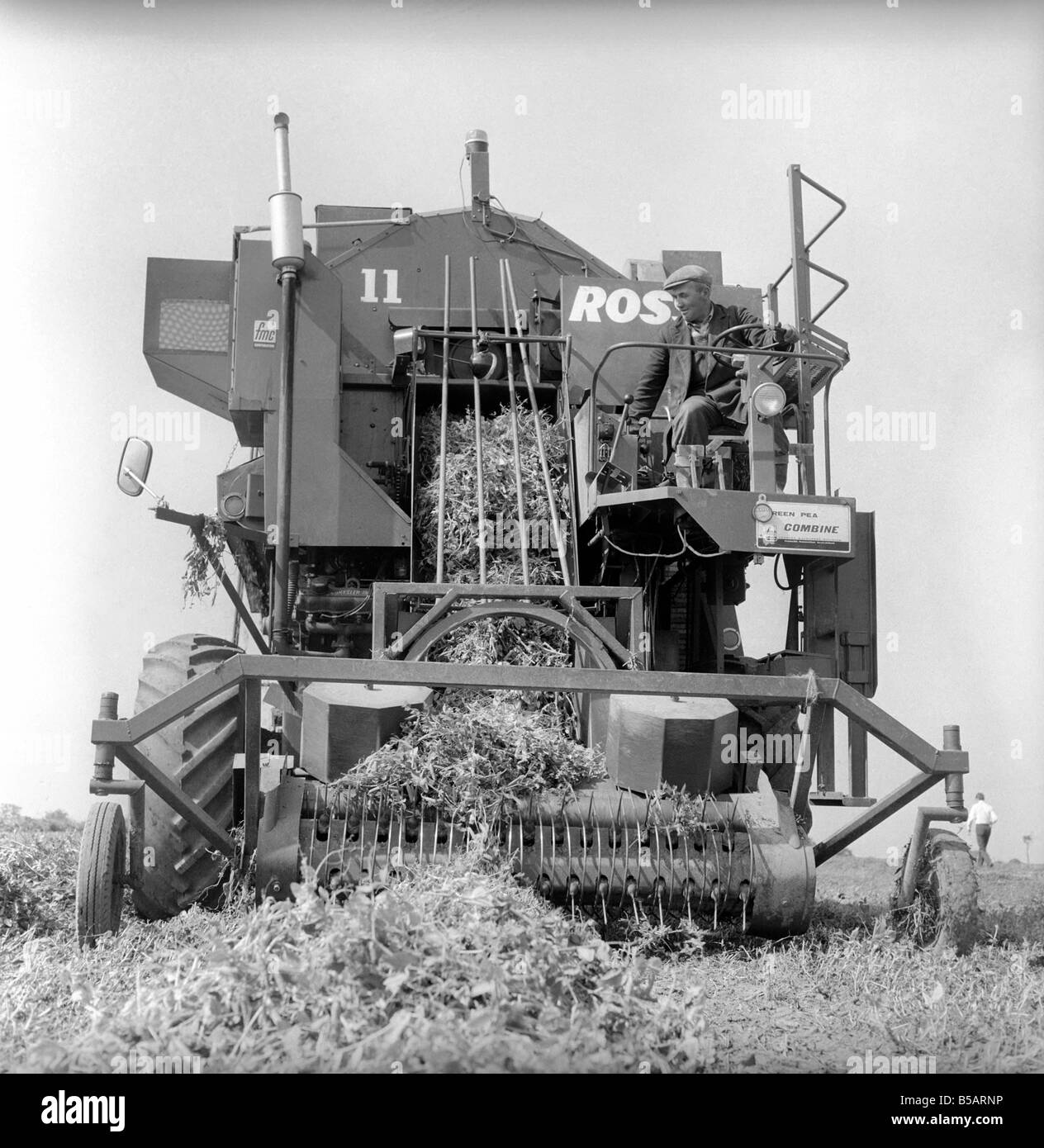 Farming: Ross Pea picking machine. 1964 A1201-004 Stock Photo - Alamy