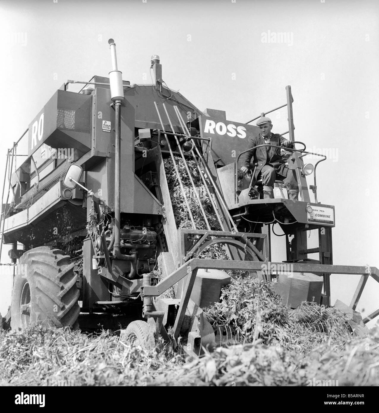 Pea Harvester Stock Photos & Pea Harvester Stock Images - Alamy