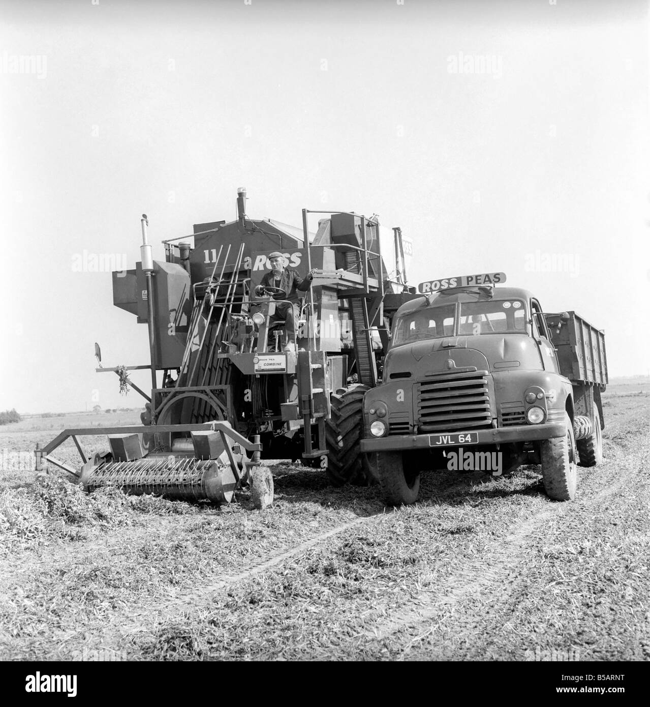 Farming: Ross Pea picking machine. 1964 A1201-006 Stock Photo - Alamy