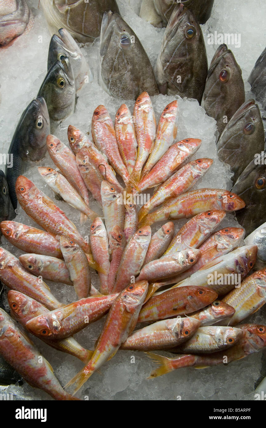 Stack fresh fishes hi-res stock photography and images - Alamy