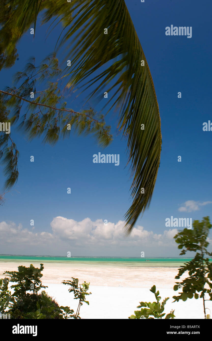 Michamvi beach hi-res stock photography and images - Alamy
