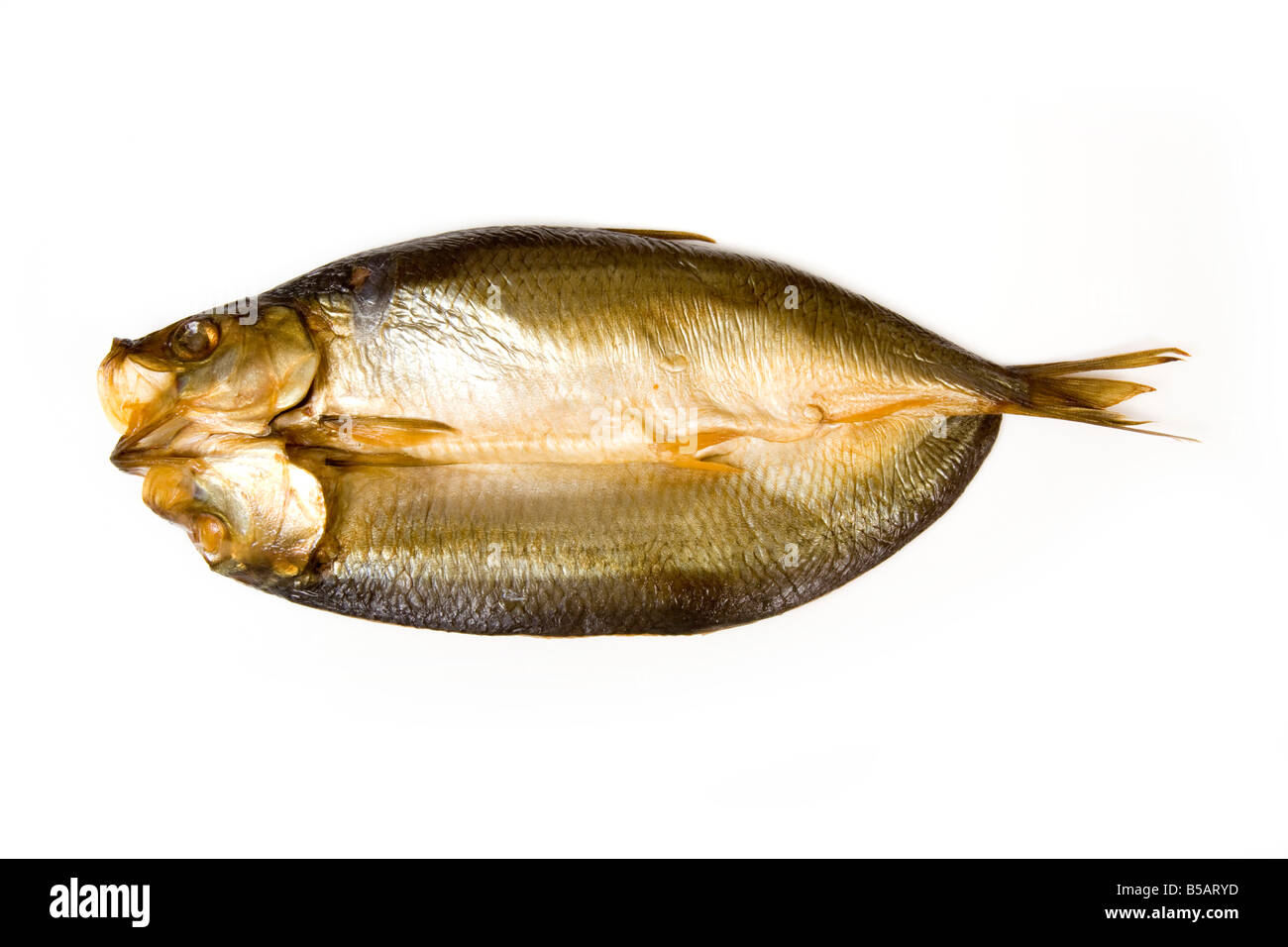 traditional smoked kippers isolated on a white studio background Stock ...
