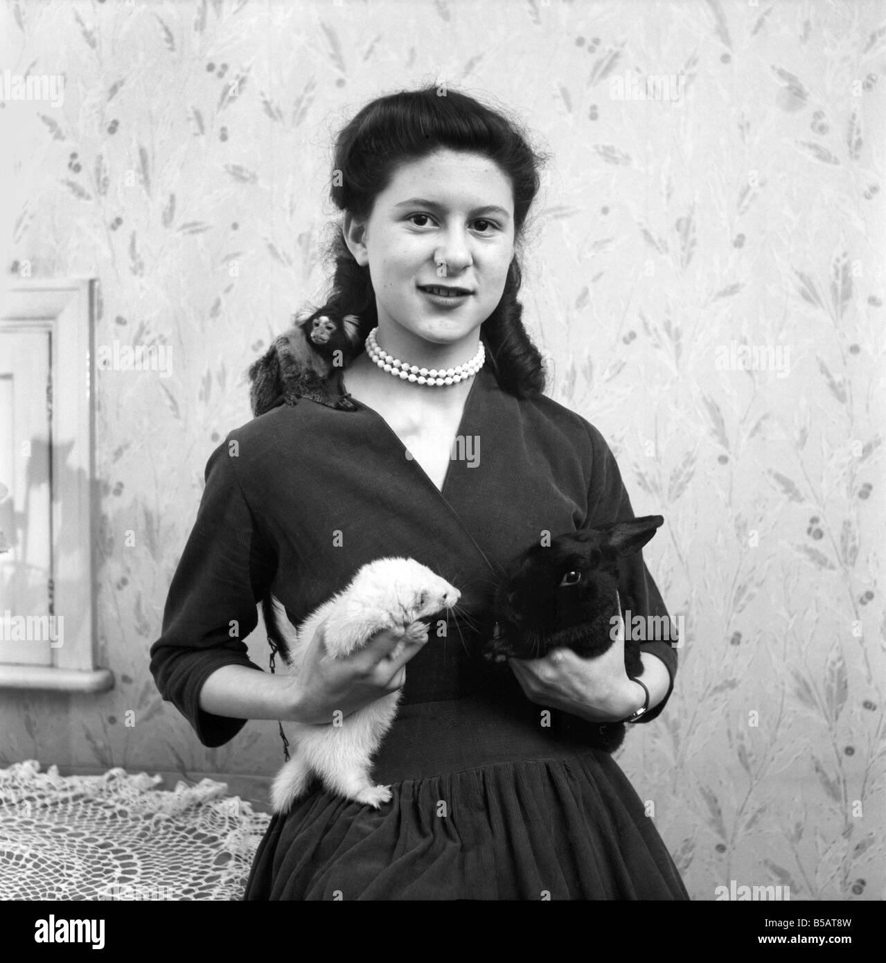 Jack Goodman and family with TV animals. March 1957 A331-003 Stock ...