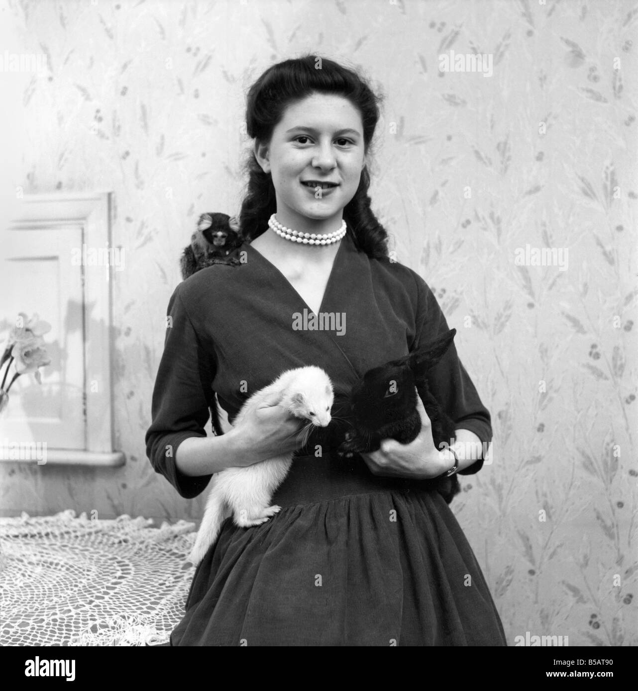 Jack Goodman and family with TV animals. March 1957 A331-004 Stock ...