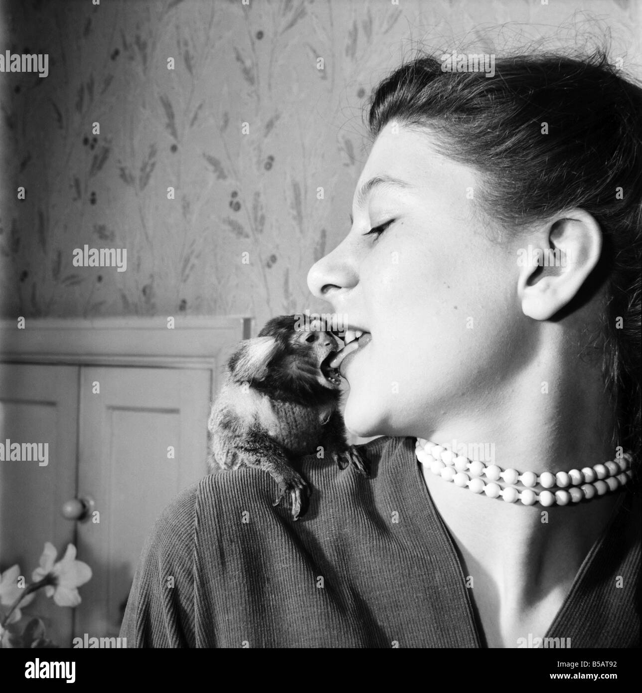 Jack Goodman and family with TV animals. March 1957 A331-005 Stock ...