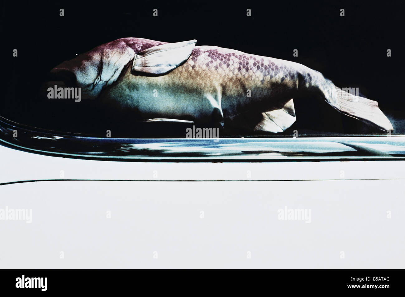 Fake fish hi-res stock photography and images - Alamy