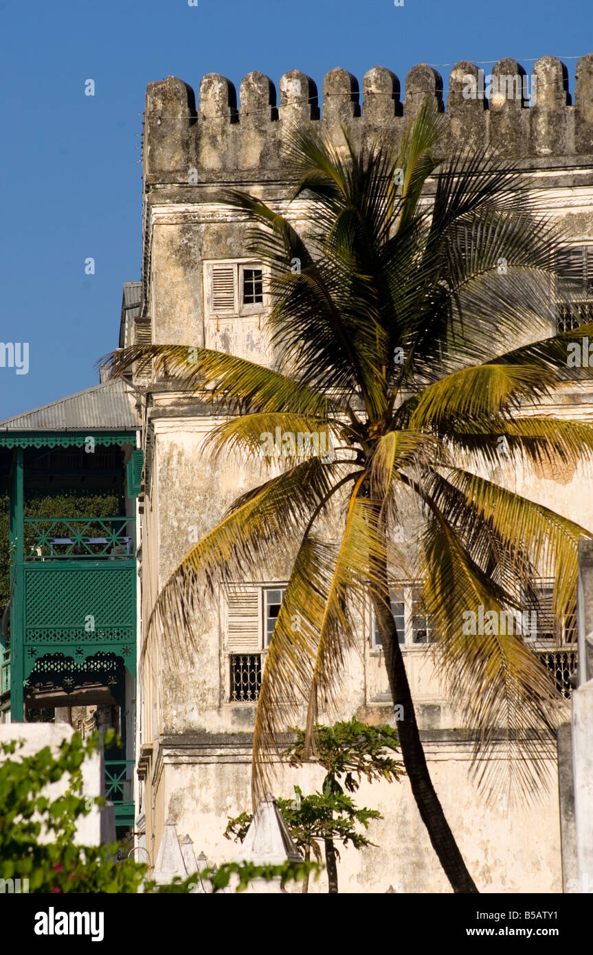 A palm tree in front of old buildings on the waterfront, Stone Town ...