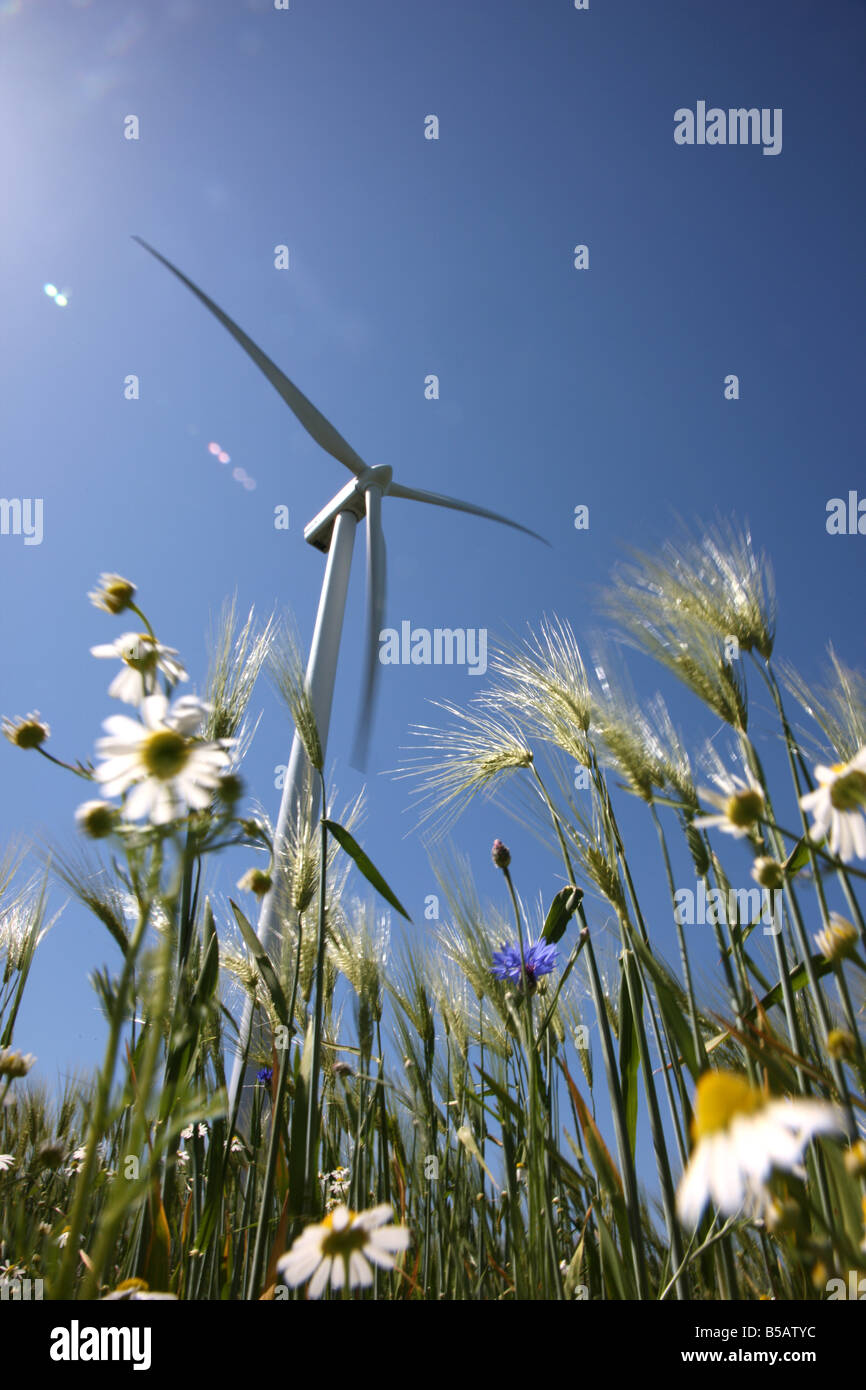 DEU Germany Wind turbines near Grimmen Stock Photo - Alamy