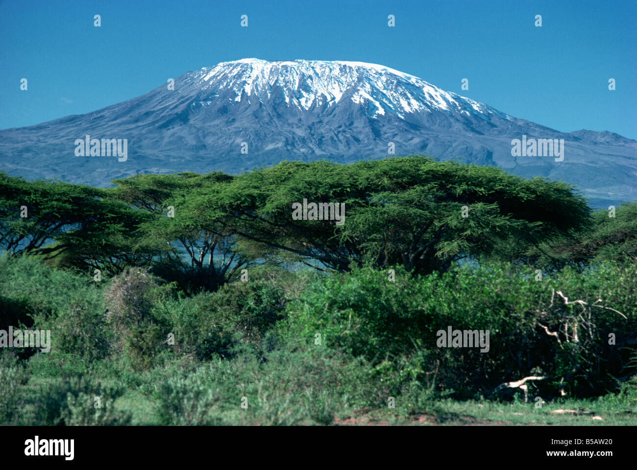Mount Kilimanjaro Tanzania East Africa Africa Stock Photo - Alamy