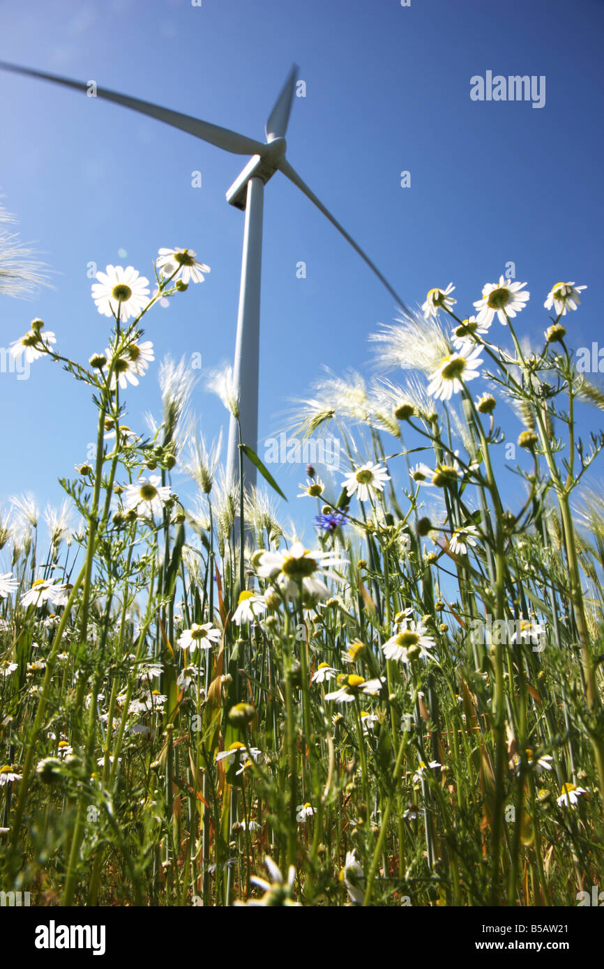 DEU Germany Wind turbines near Grimmen Stock Photo - Alamy