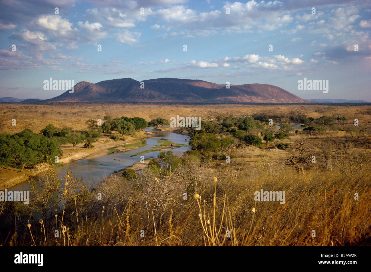 Ruaha River Tanzania East Africa Africa Stock Photo - Alamy